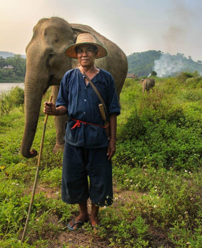 Tours | Mandalao Elephant Conservation