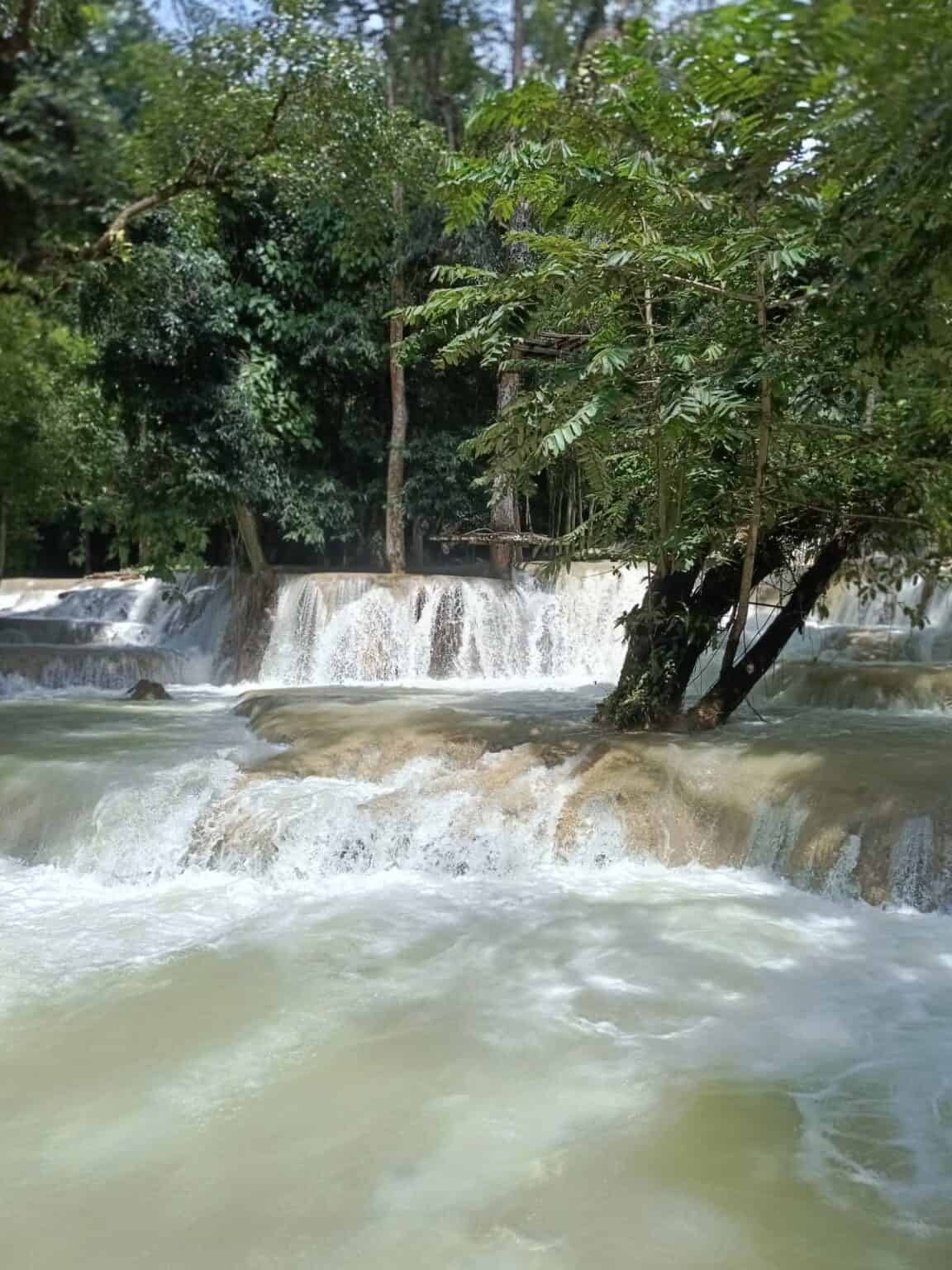 Tours | Mandalao Elephant Conservation